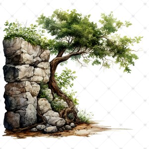 Tree Growing From Stone Page Border Corner Clipart Bundle- 10 High ...