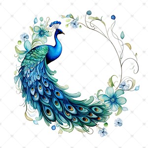 Peacock Circle PNG Clipart Bundle- Digital Download - Etsy