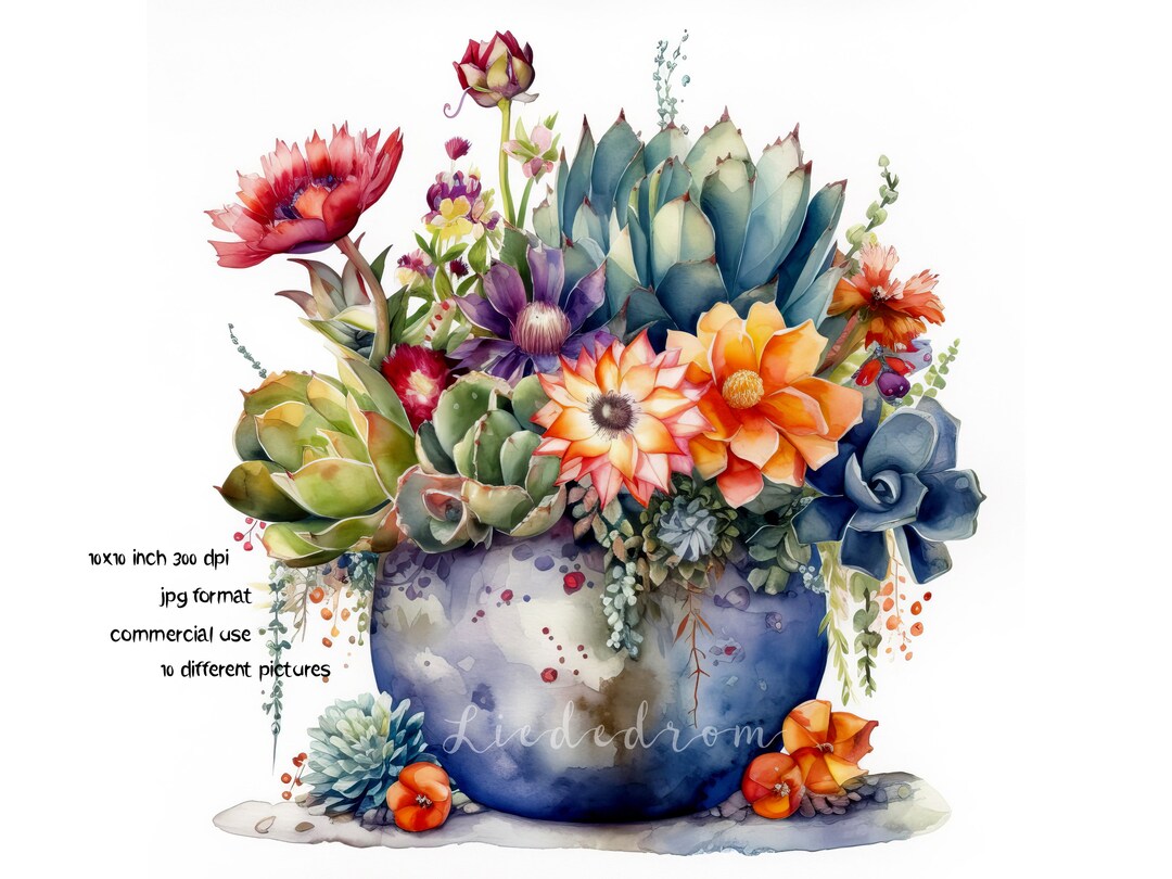 Cactus in Flower Pot Clipart Bundle 10 High Quality - Etsy