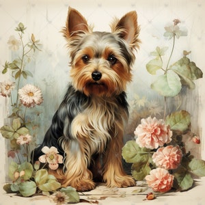 Shabby Chic Yorkshire Terrier With Flowers Clipart Bundle- 10 High ...
