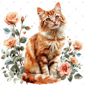 Cat Portrait With Roses Clipart Bundle 10 High Quality Watercolor Jpgs ...