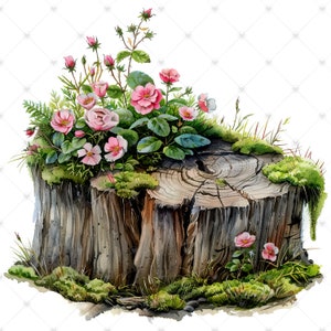 Wild Roses Growing Out of a Tree Stump Clipart Bundle- 10 High Quality ...