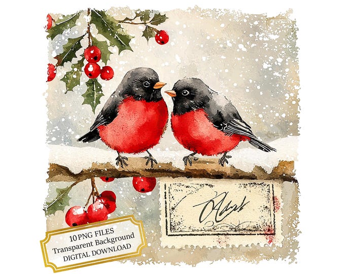 15 PNG Winter Robin Christmas Clipart Winter Bird Holiday Decorations ...