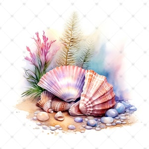 Seashells in Ocean Clipart Bundle- 10 High Quality Watercolor Jpgs- Sea ...