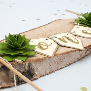 Succulent Cake Banner First Birthday Garden Party Succulent Party ...