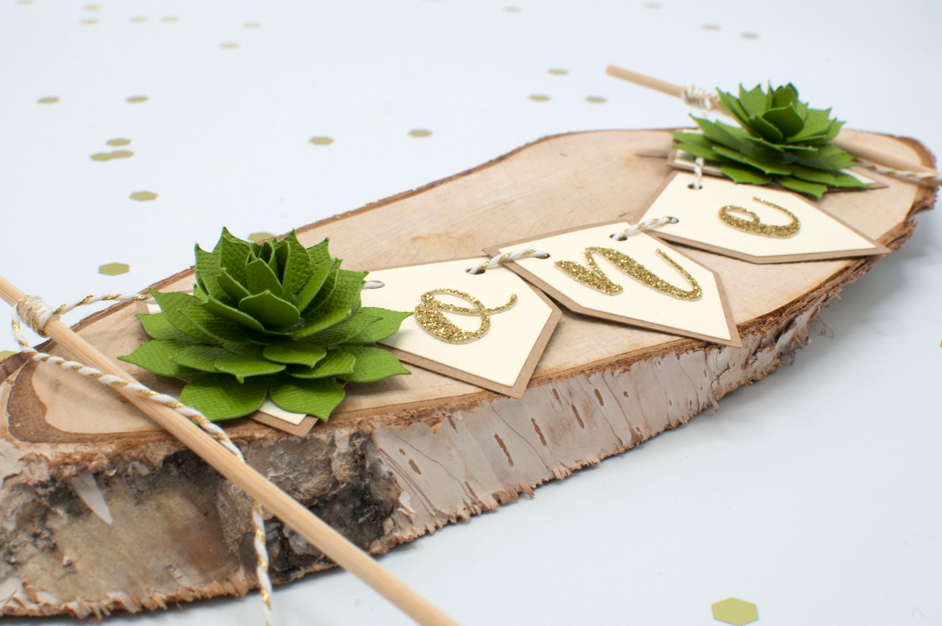 Succulent Cake Banner First Birthday Garden Party Succulent Party ...