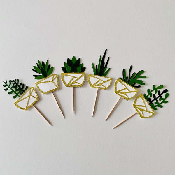 Succulent Party Decorations - Etsy