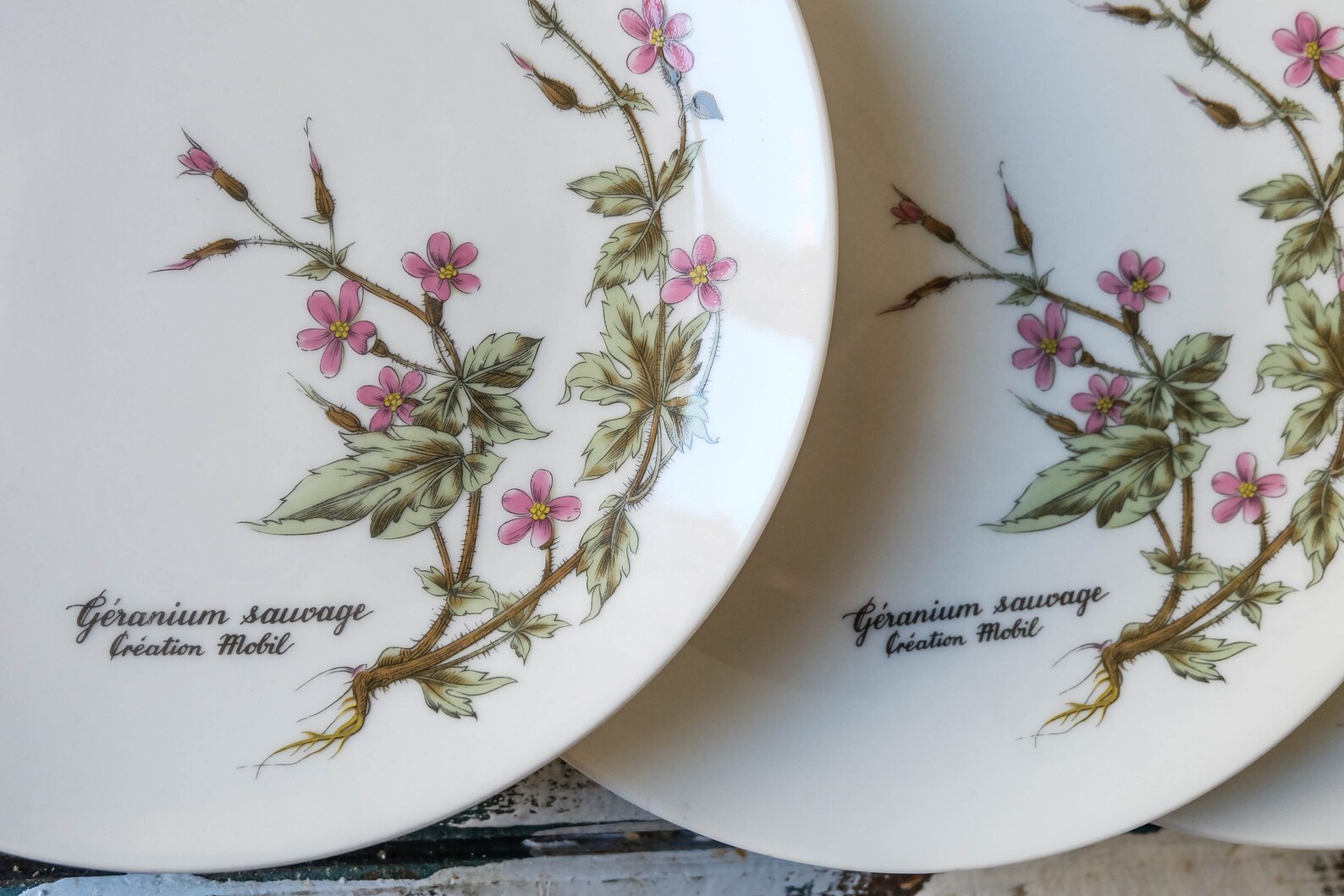 Winterling Porcelain, Roslau, Bavaria, Vintage, Porcelain, Plates ...