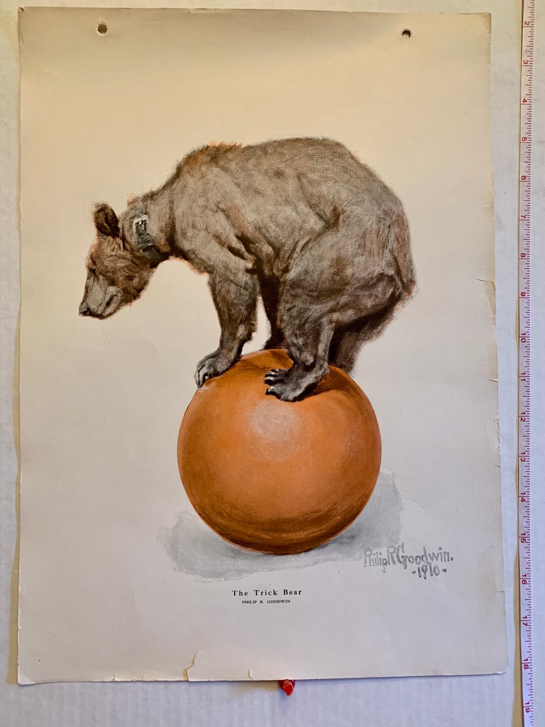 1914 the Trick Bear by Philip R. Goodwin Large Portfolio Print ...