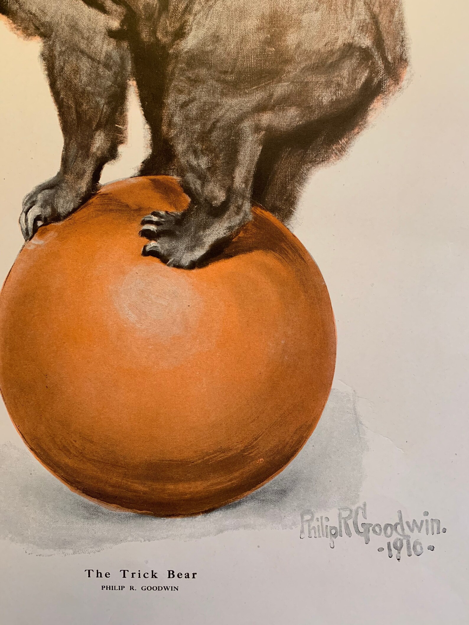 1914 the Trick Bear by Philip R. Goodwin Large Portfolio Print Vibrant ...