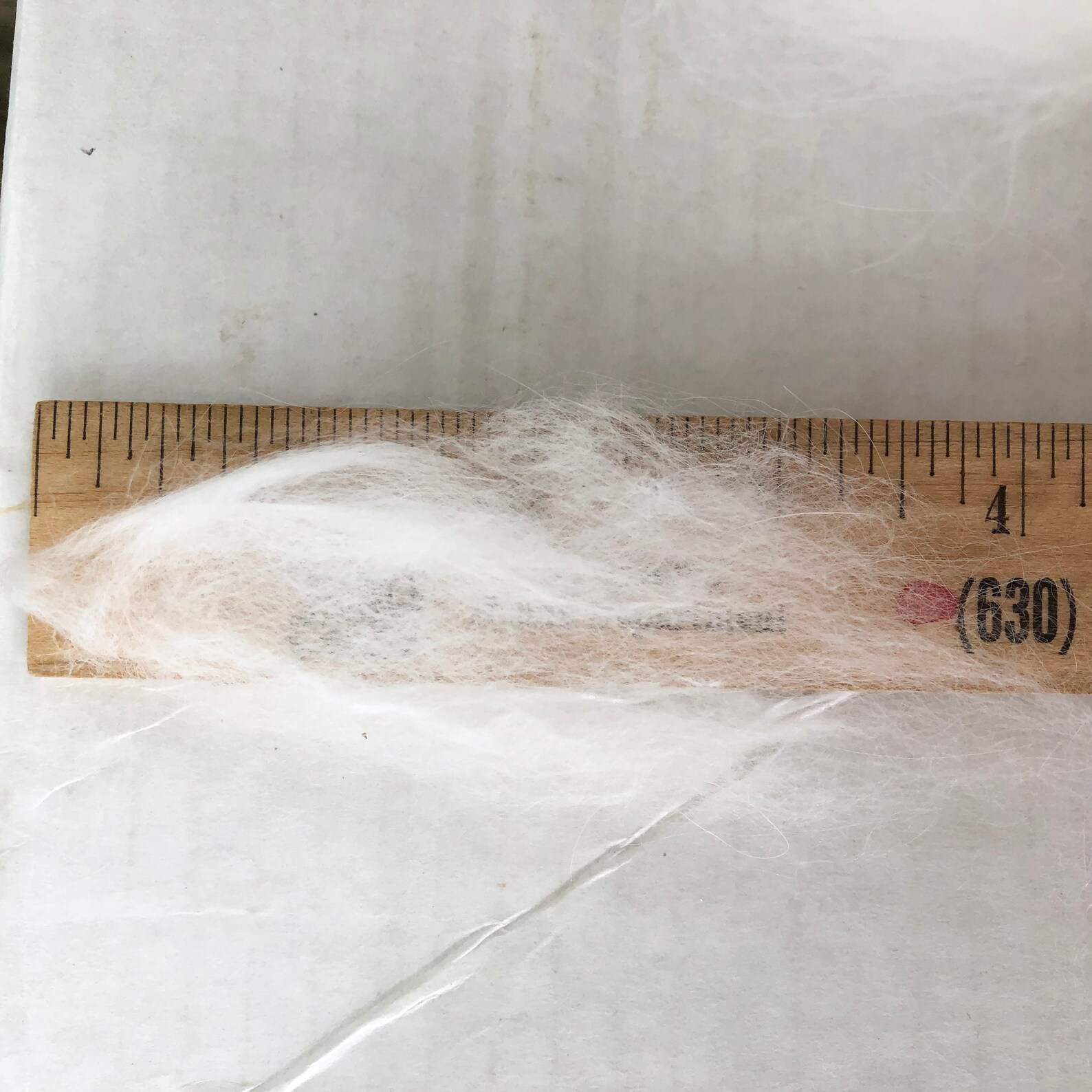 French Angora Spinning Fiber - Etsy