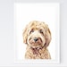 Goldendoodle Dog, Digital Download, Dog Poster, Golden Doodle Animal ...