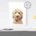 Goldendoodle Dog, Digital Download, Dog Poster, Golden Doodle Animal ...