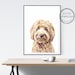 Goldendoodle Dog, Digital Download, Dog Poster, Golden Doodle Animal ...