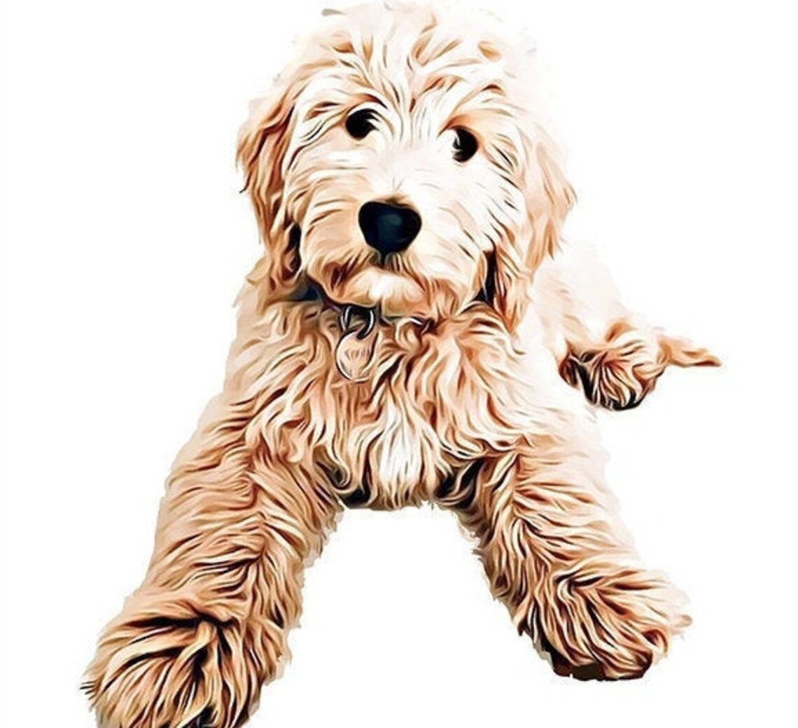 Goldendoodle Dog, Digital Download, Dog Poster, Golden Doodle Animal ...