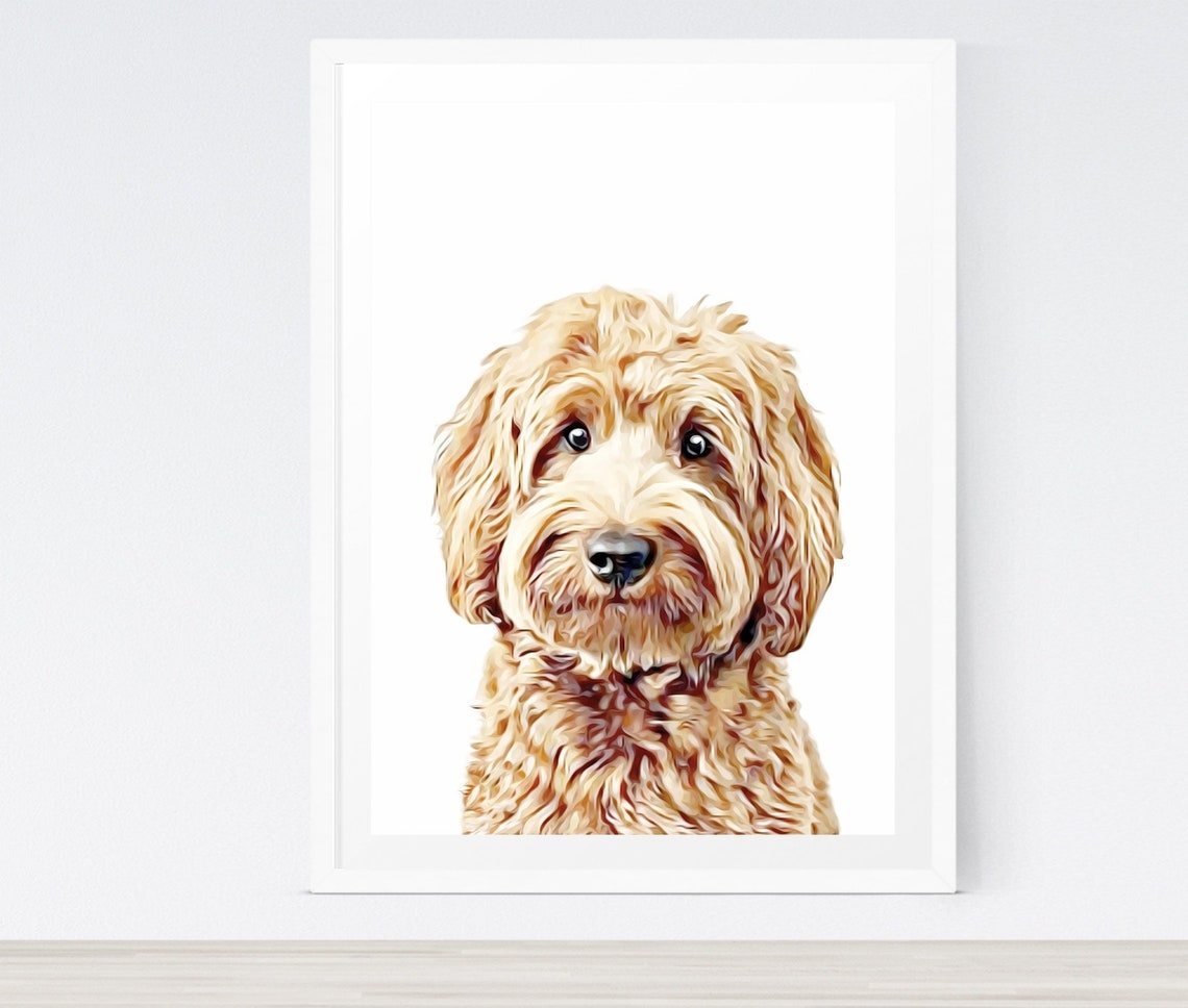 Goldendoodle Dog Digital Download Dog Poster Golden Doodle - Etsy