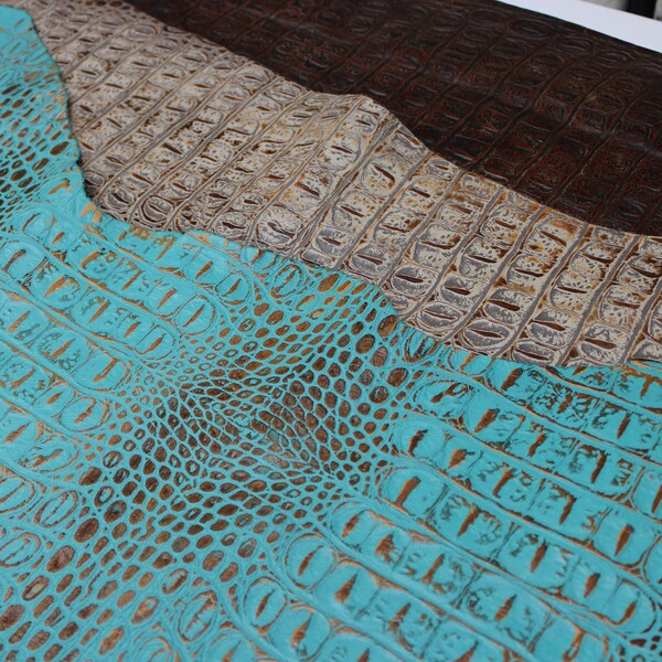 Alligator Embossed - Etsy