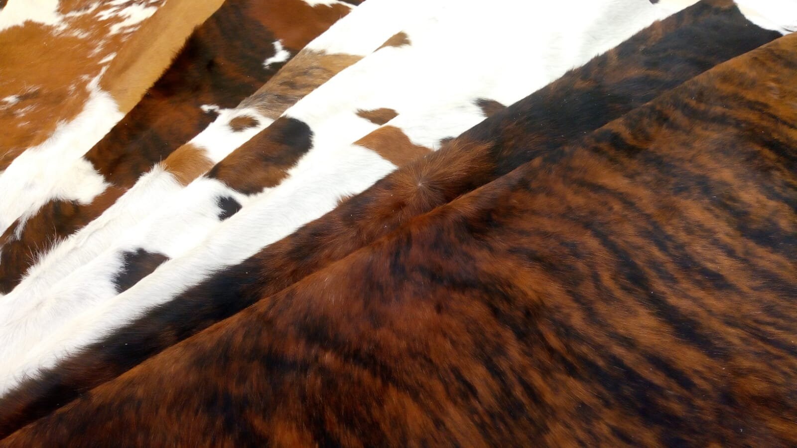 Tricolor Cowhide Rug Size: XL 7'x6 Ft L | Etsy