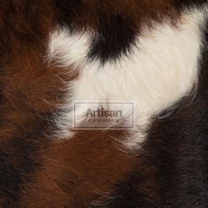 Tricolor Cowhide Rug XL Size: XL 7'x6' Ft L 6'x5'5 Ft Premium Tricolor ...