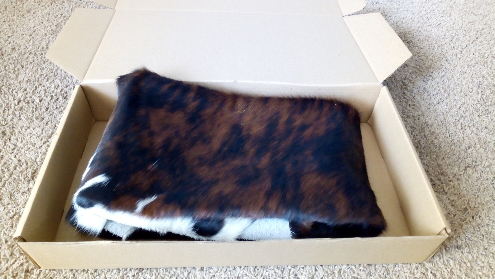 Brown Brindle White Belly Cowhide Rug xlarge 7'x6' - Etsy