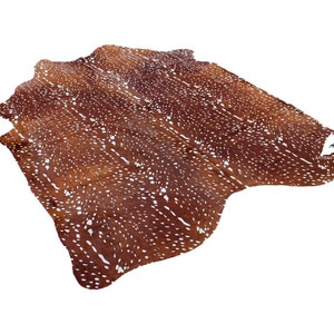 Axis Deer on Caramel Cowhide Size: XL 7'5x6' Ft Premium Cowhide Rug - Etsy