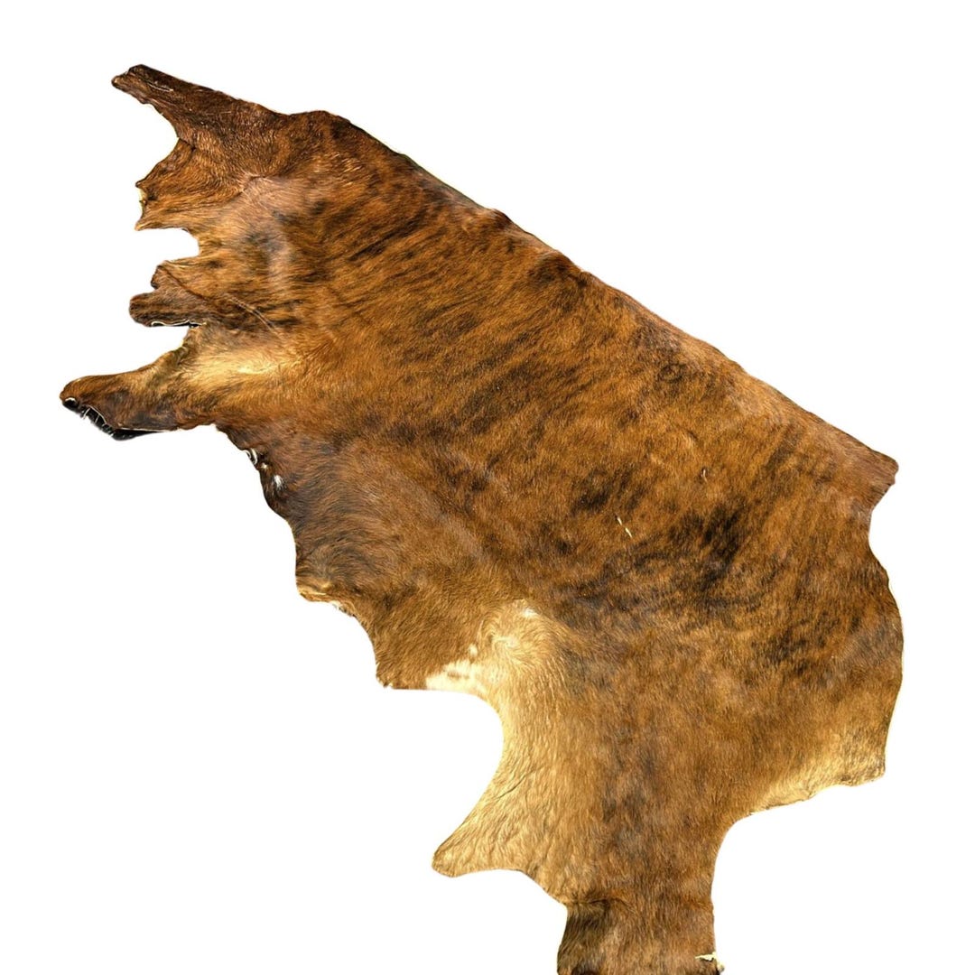Brindle Cow Hide Leather– Half Hair on Cowhide - 18 to 24 Square Foot Hides for Craft Projects ...