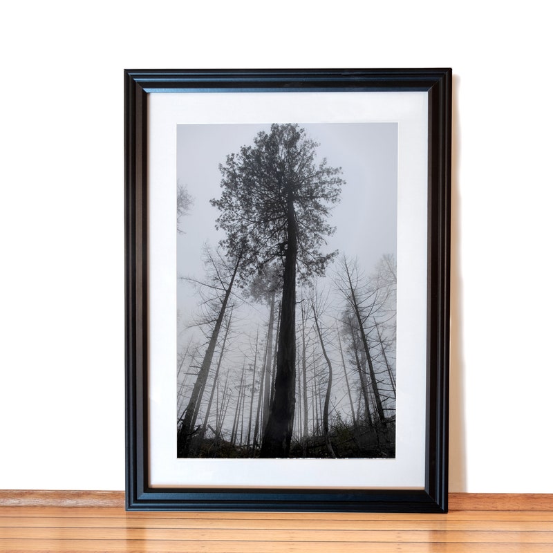 Outdoor Print - Etsy