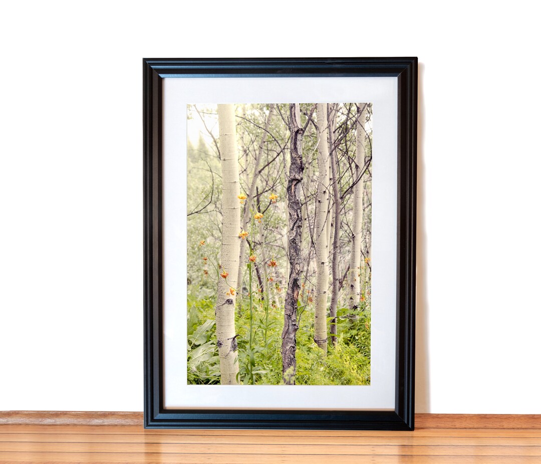 Aspen Tree Print, Forest Print, Tree Print, Nature Print, Outdoor Print ...