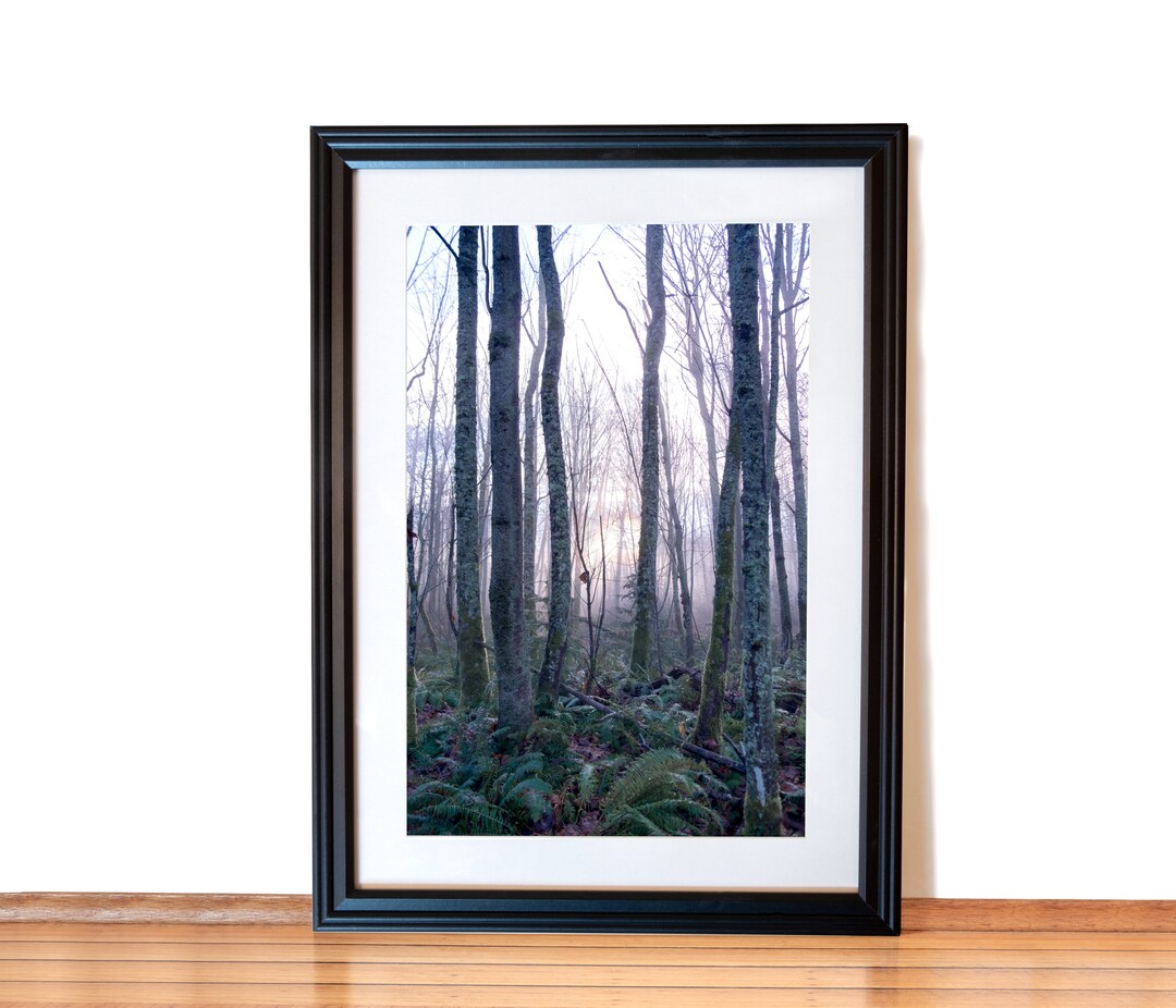 Forest Print, Tree Print, Foggy Forest, Nature Print, Outdoor Print ...