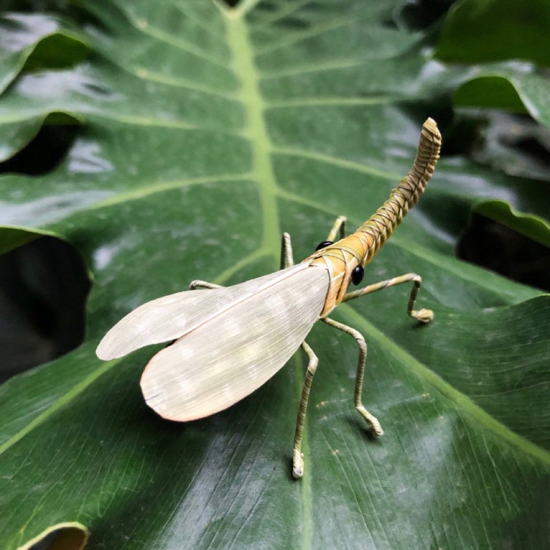 Straw Weevilhand-woven Weevil Ornament in Hayhome - Etsy UK