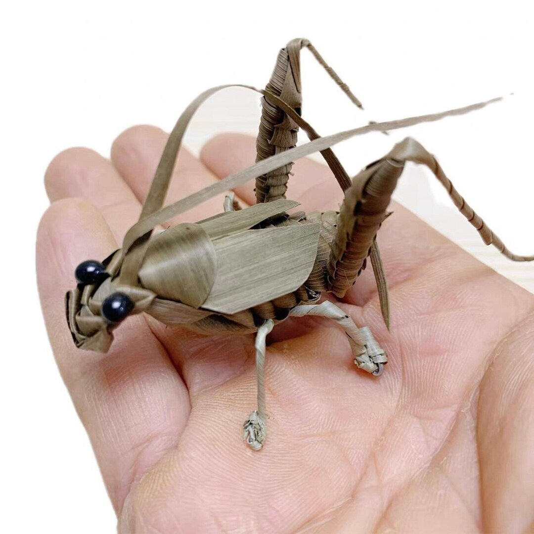Straw Crickethand-woven Cricket Ornament in Hayhome - Etsy