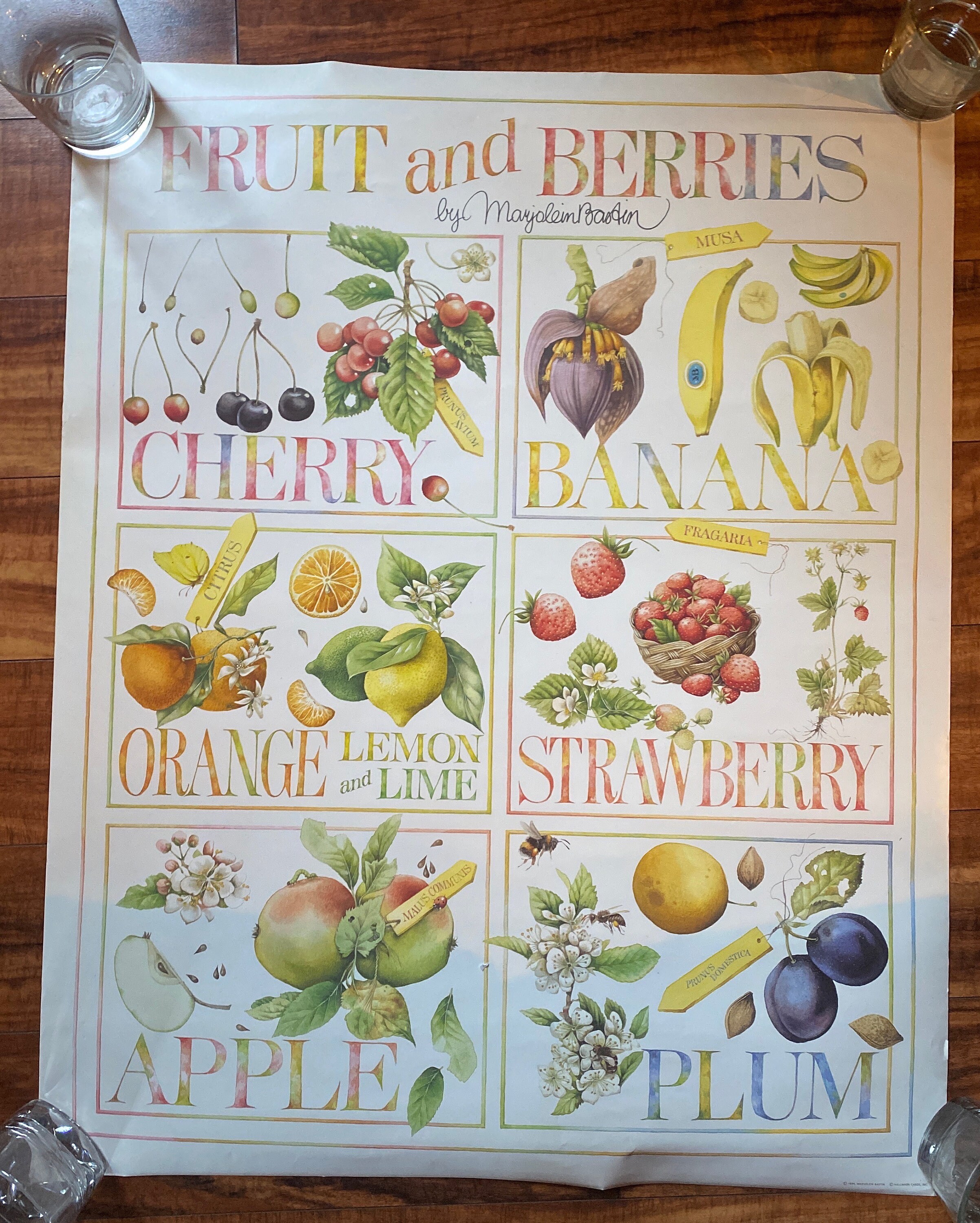 Apple Varieties Poster
