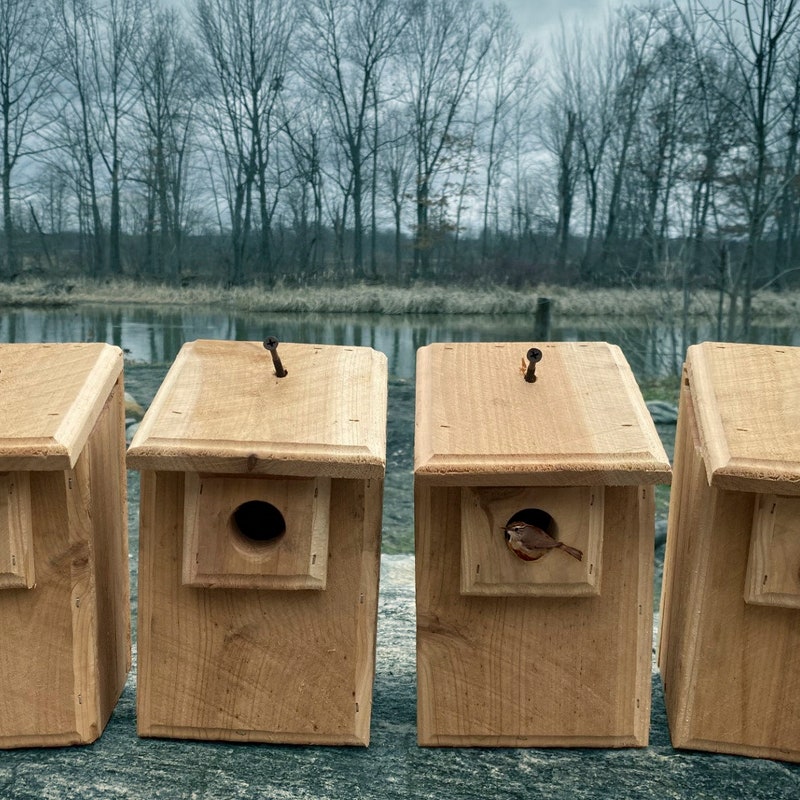 Purple Martin House - Etsy