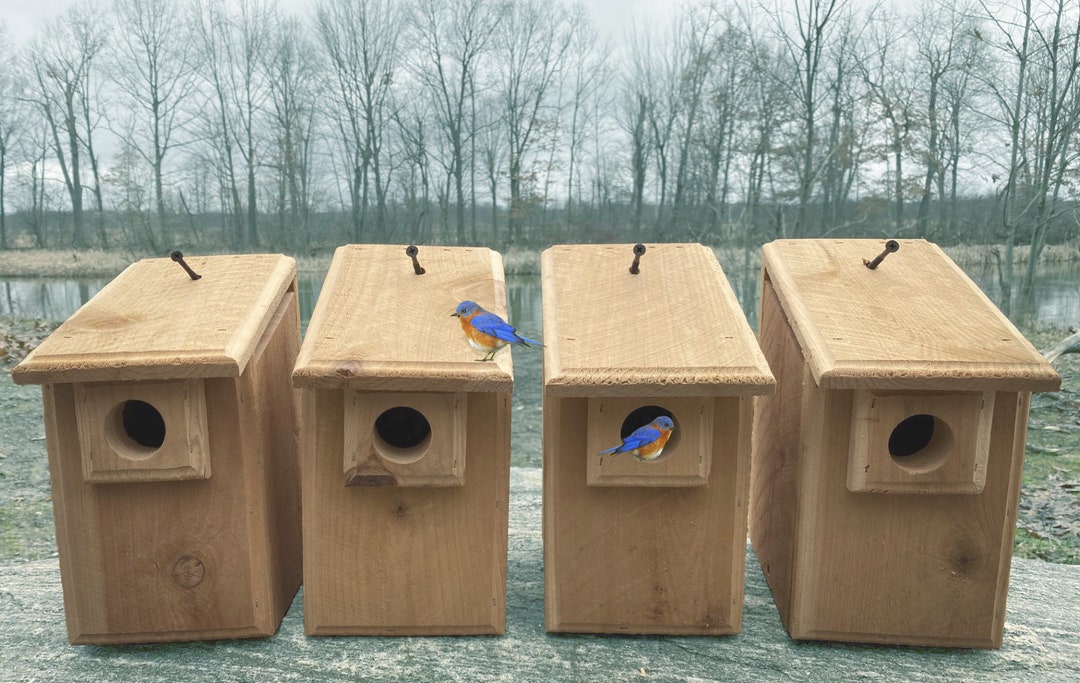 4 Handmade Cedar Bluebird Bird House Nesting Boxes Easy to Open and ...