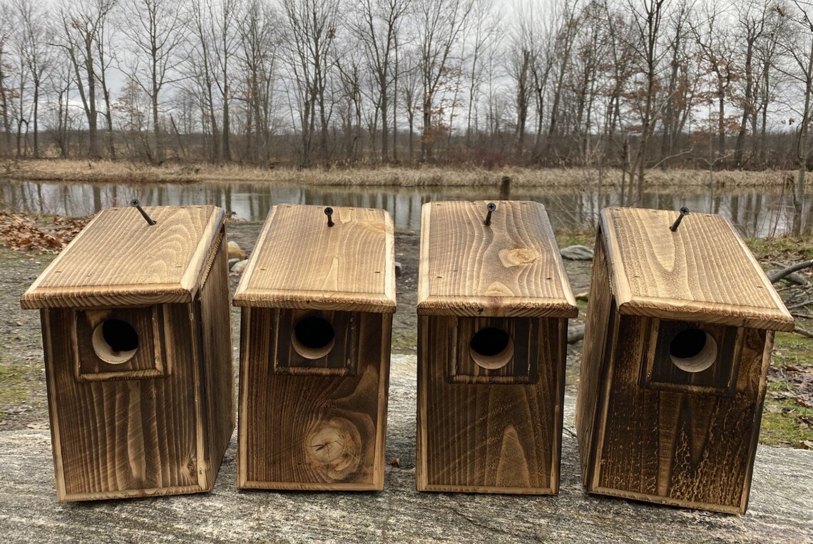 4 Scorched Cedar Bluebird Bird House Nesting Boxes Easy to Open and ...