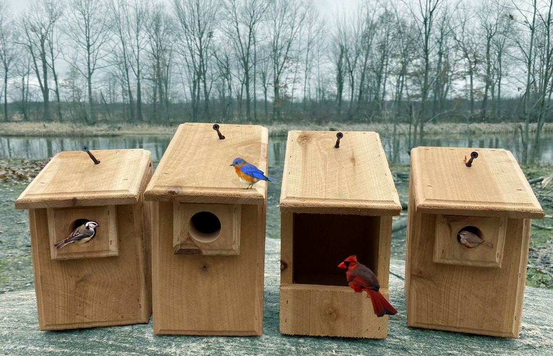 4 Handmade Cedar Bird House Nesting Boxes: Bluebird, Wren, Chickadee ...