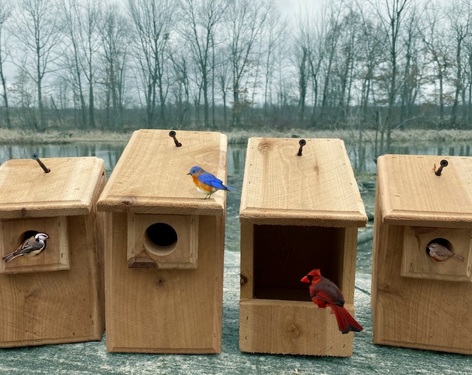 Cedar Bird Nesting Box • Nesting Box • Bird House - Etsy