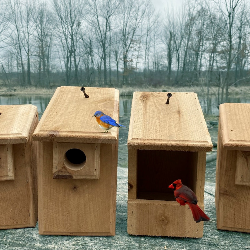 Cedar Bird House Wren - Etsy