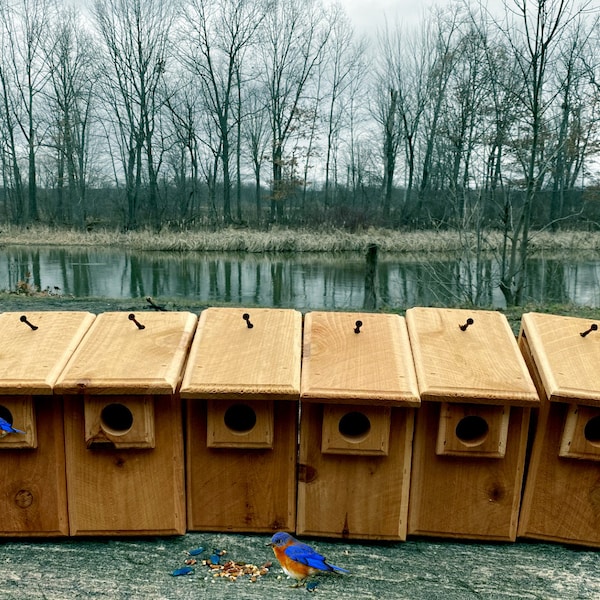 Bird Houses Handmade - Etsy