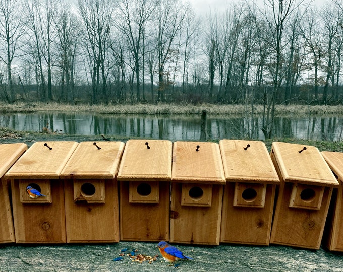 Petterson Style Blue Bird Boxes (4 Boxes) - Etsy