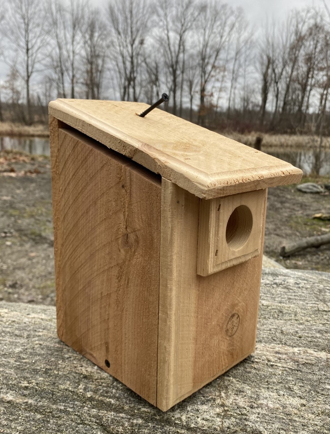 4 Scorched Cedar Bluebird Bird House Nesting Boxes Easy to Open and ...