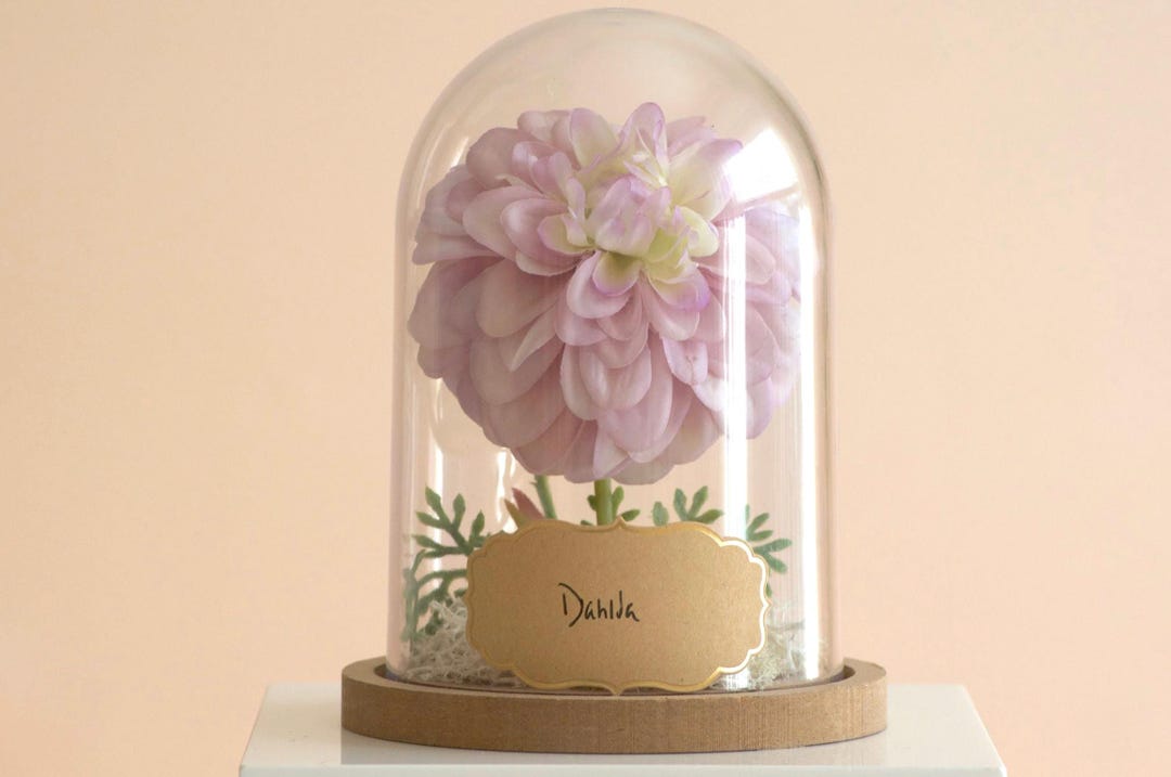 Dahlia Flower Cloche Terrarium | Dahlia Gifts, Decor - Etsy