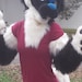 Custom Fursuit Arm Sleeves - Etsy
