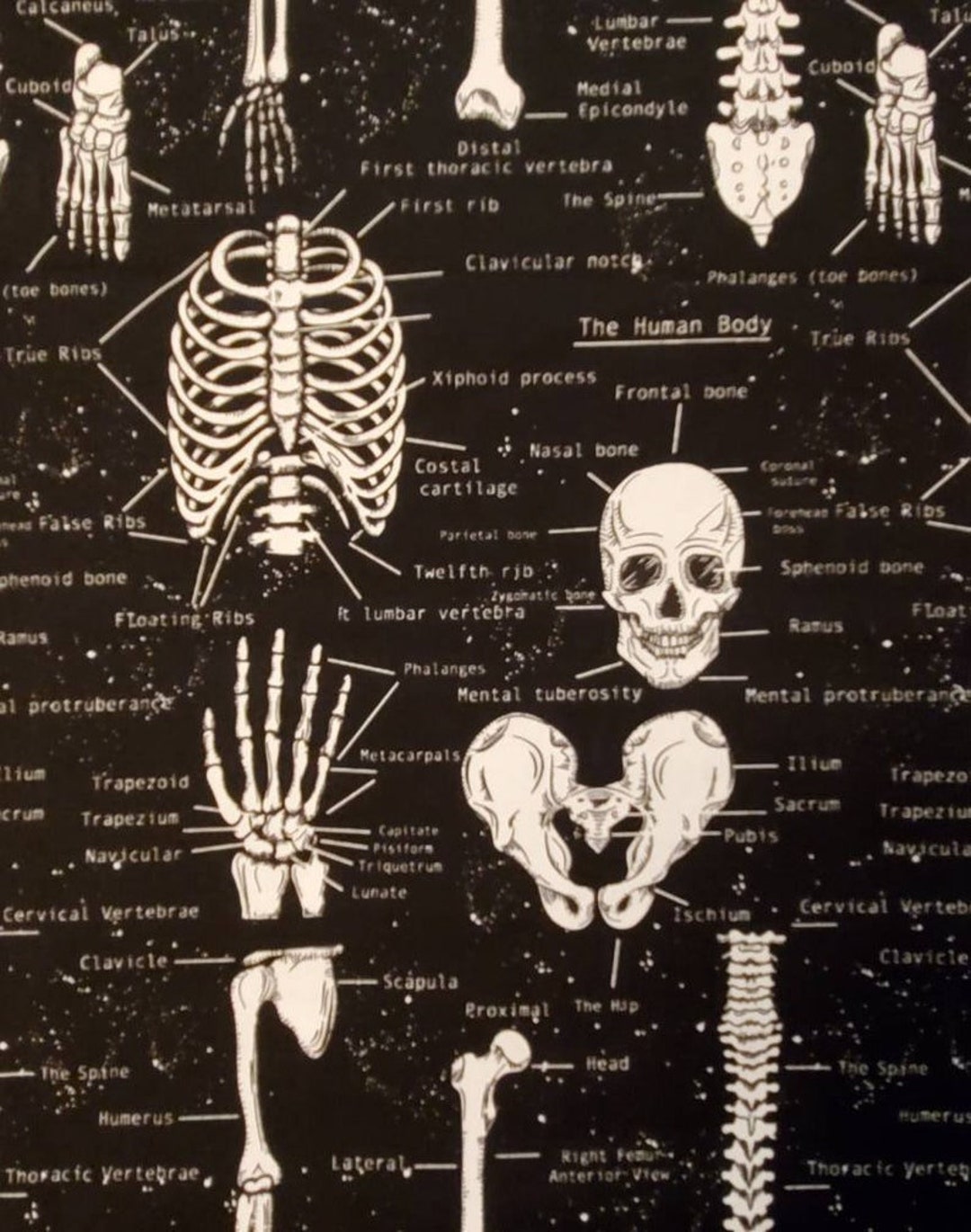 Anatomy Bones Orthopedic Face Masks - Etsy