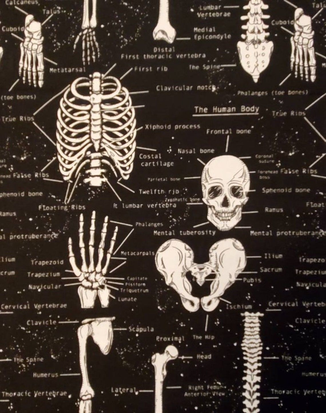 Anatomy Bones Orthopedic Face Masks - Etsy