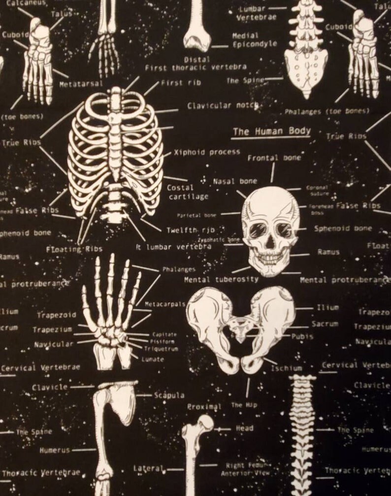 Anatomy Bones Orthopedic Face Masks - Etsy