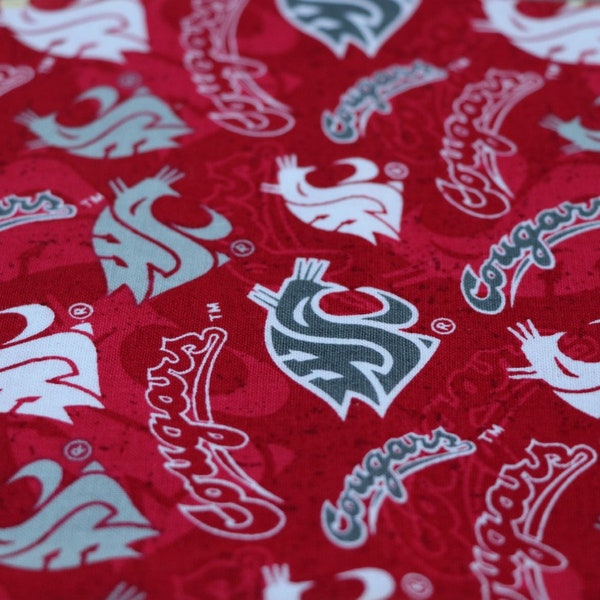 Washington State Face Mask - Etsy