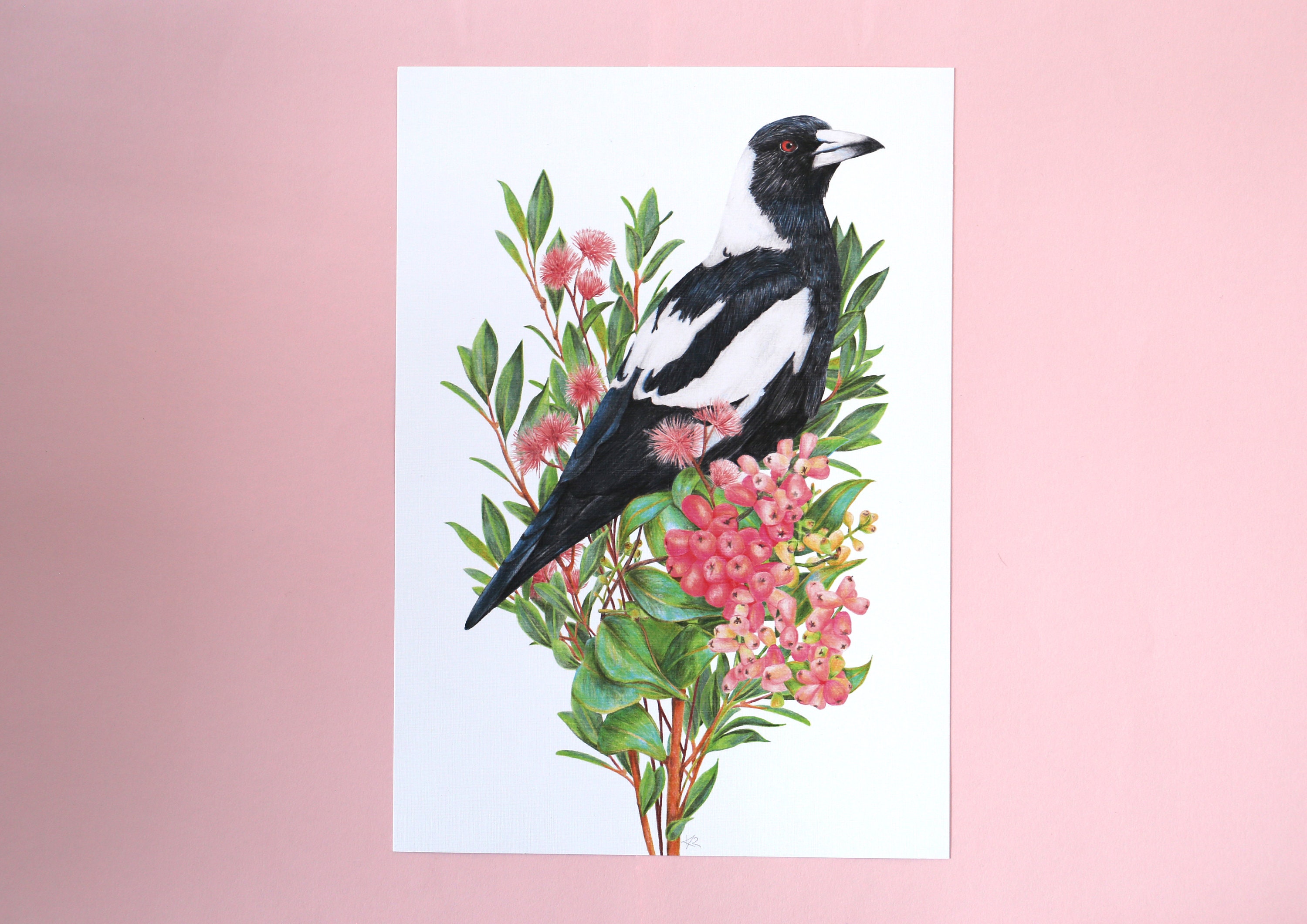 Australian Magpie Floral Art Print Botanical Bird Poster | Etsy