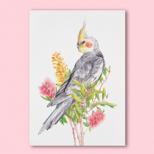 Cockatiel - Etsy