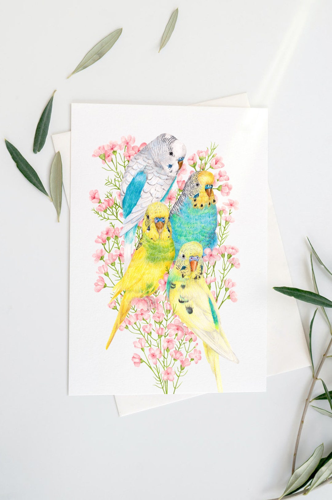 Budgie Boys Art Print Australian Budgerigars Wall Decor Blue - Etsy